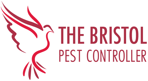 Pests Archive | The Bristol Pest Controller
